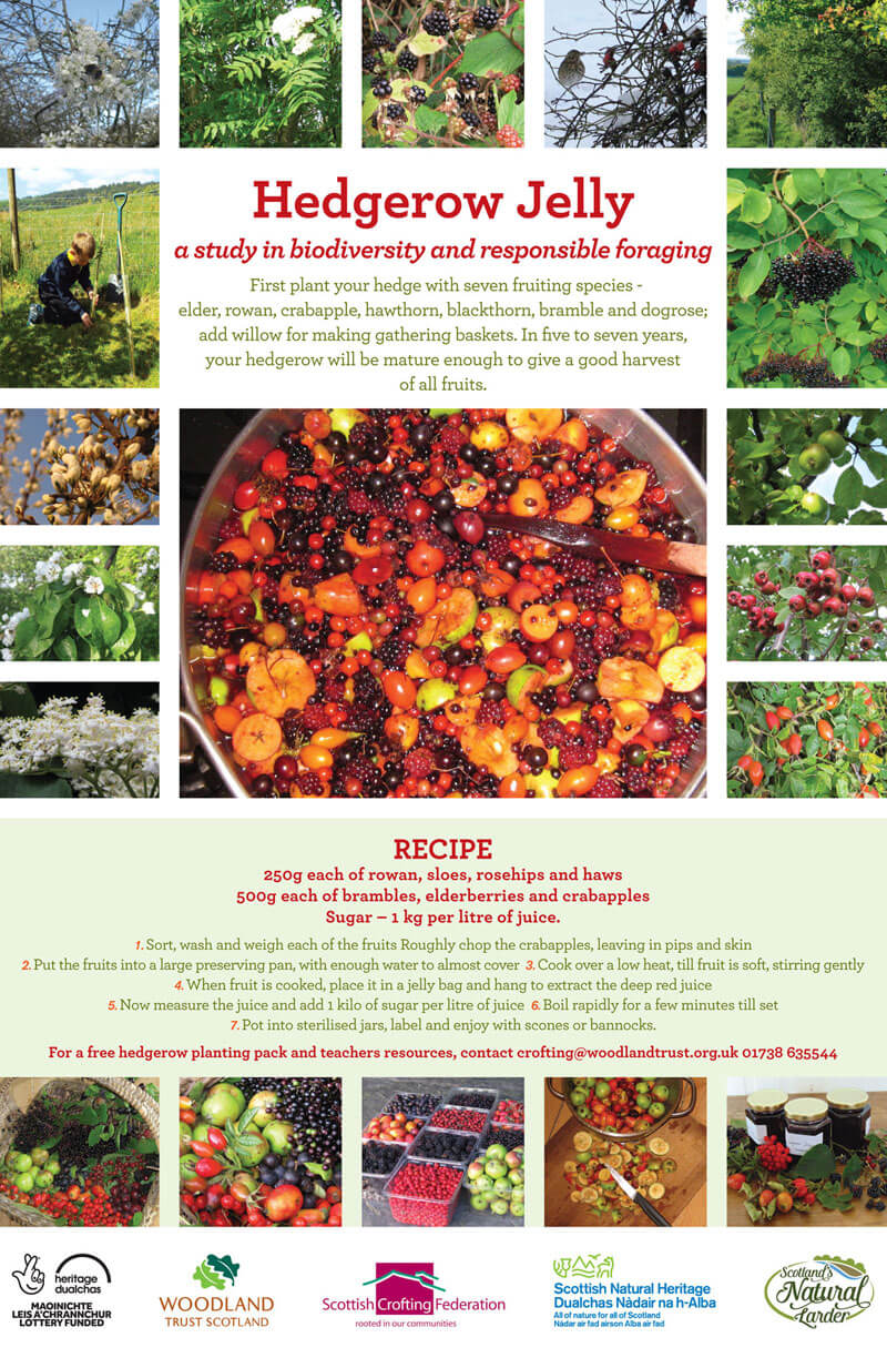 Project Hedgerow Jelly :: Scotland's Natural Larder - Scotland's ...